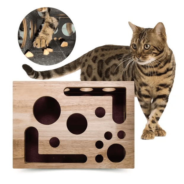 Cat Scratch Puzzle Enrichment Box – Joypolly